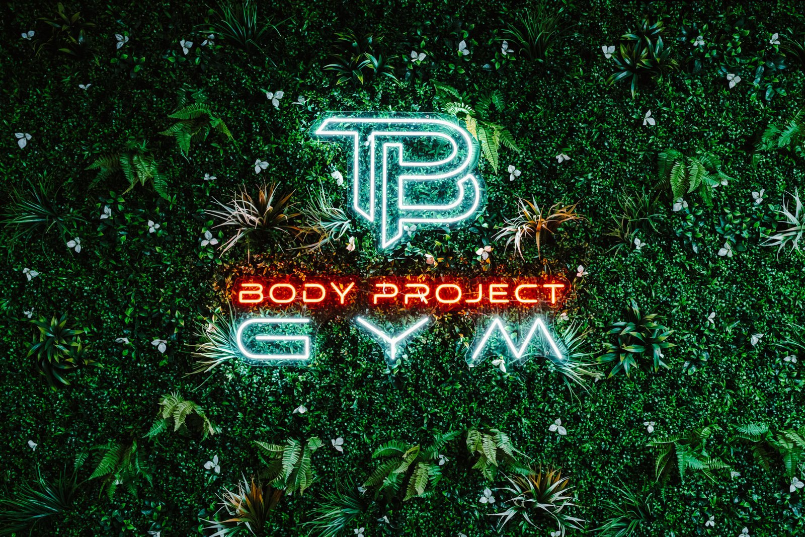 Our Team | Coaches At Body Project Gym In New Ash Green